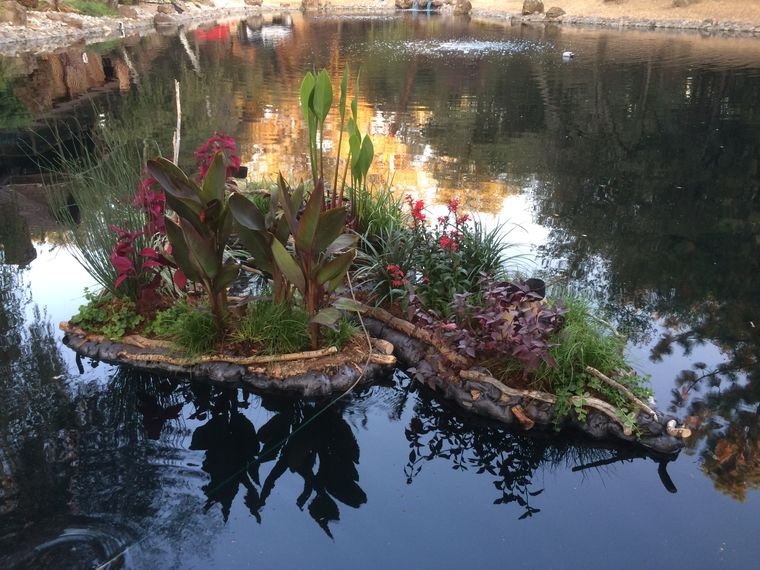 40 Innovative and Sustainable Trends of Floating Gardens - 40 ...