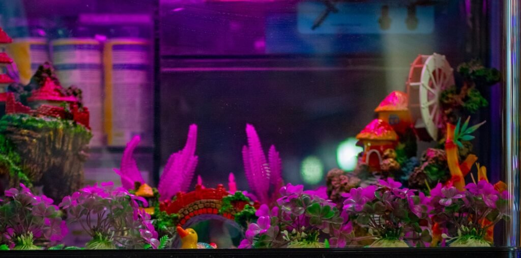 Aquarium Heaven: 7 Insider Tips for Finding Your Perfect Underwater ...